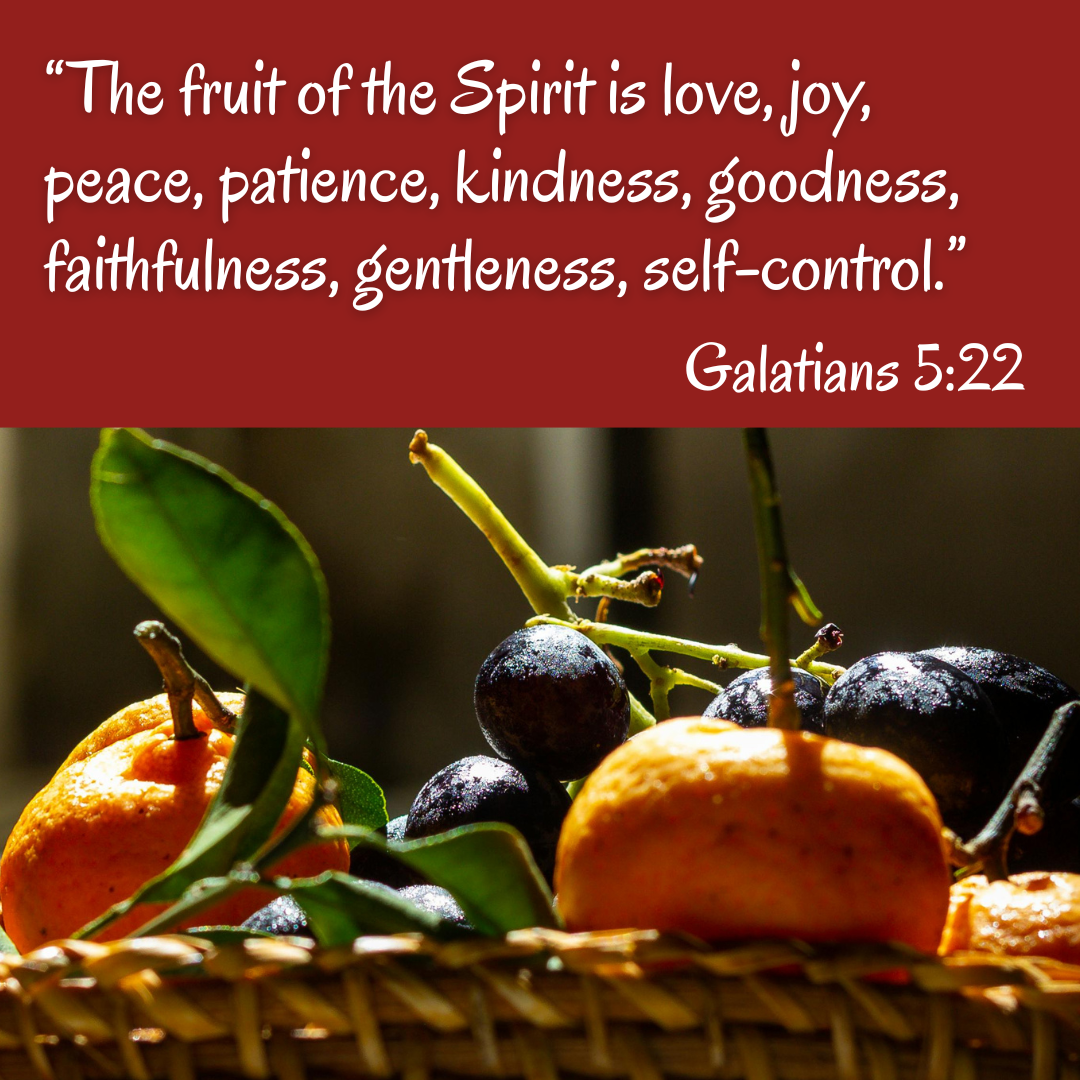 Joy, a Fruit of Charity, Rooted in God – Word, Life, Light