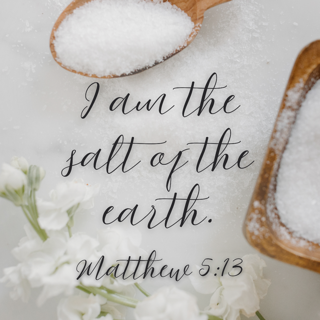 Two Ways to Keep Being the Salt of the Earth – Word, Life, Light